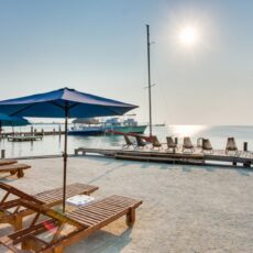 Iguana Reef Photo Galleries